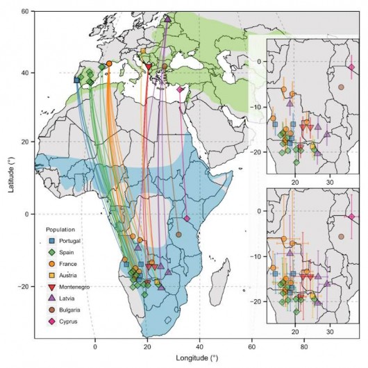Migratory connectivity in European Rollers - British Ornithologists' Union