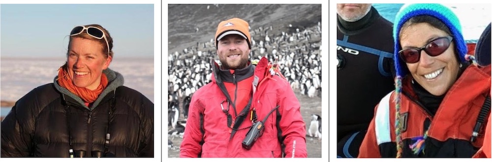 #WSTC6 - 6th World Seabird Twitter Conference - British Ornithologists ...