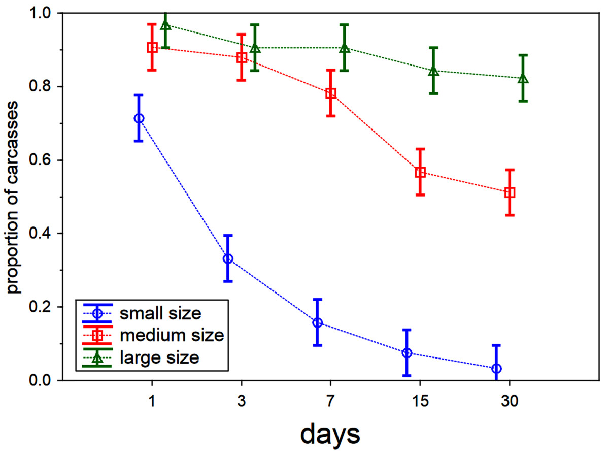 Unbiased estimates of bird collisions - British Ornithologists' Union