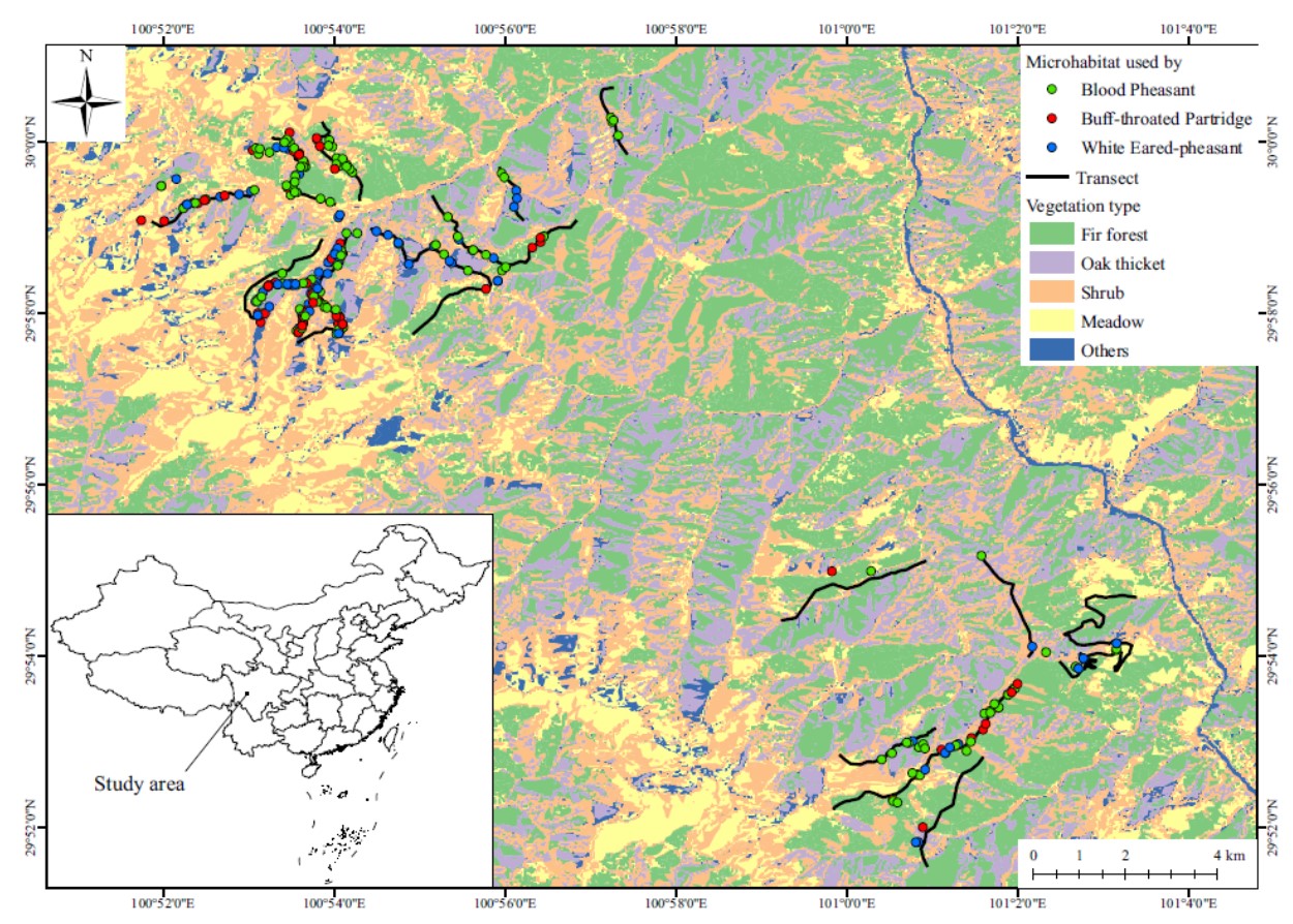 Pheasants in the mountains - British Ornithologists' Union
