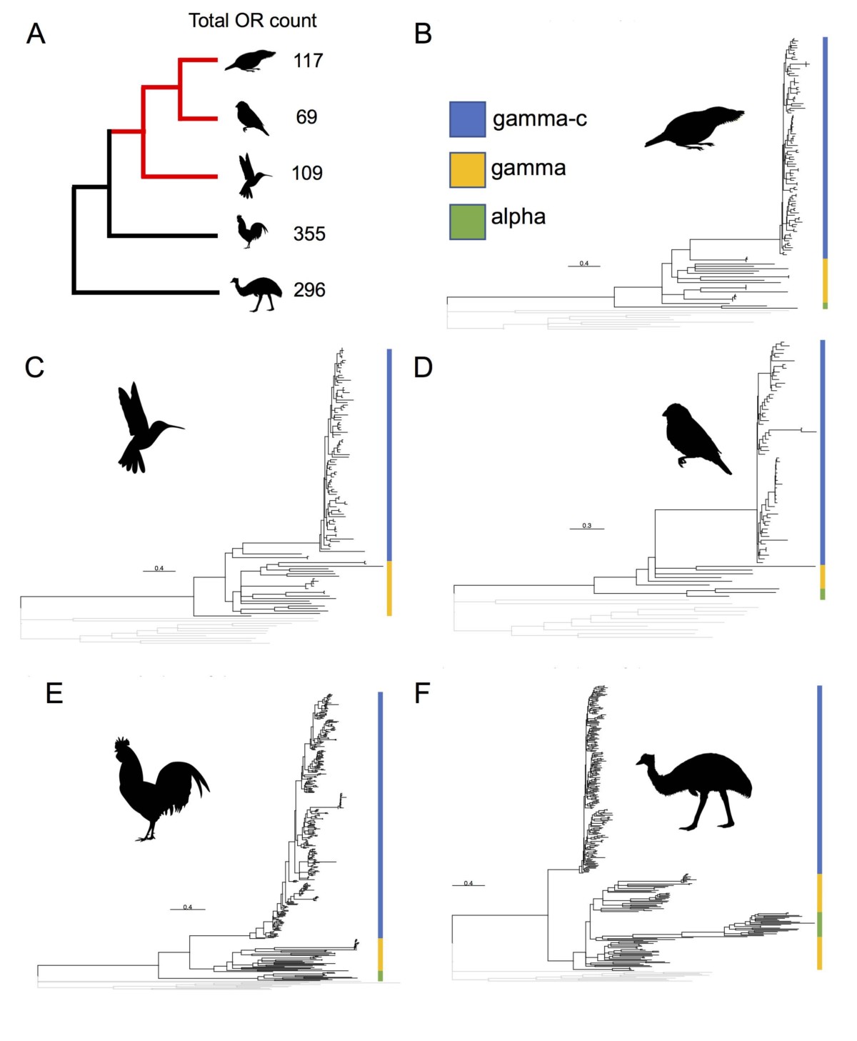 How important is smell to birds? - British Ornithologists' Union