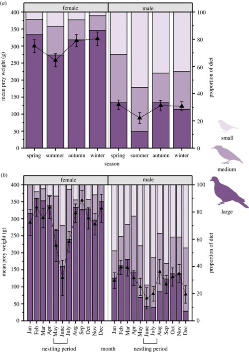 Studying raptor diet using iEcology - British Ornithologists' Union
