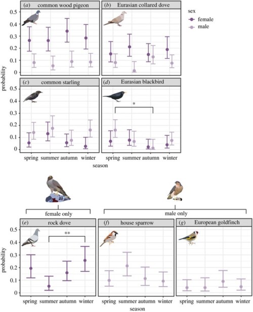 Studying raptor diet using iEcology - British Ornithologists' Union