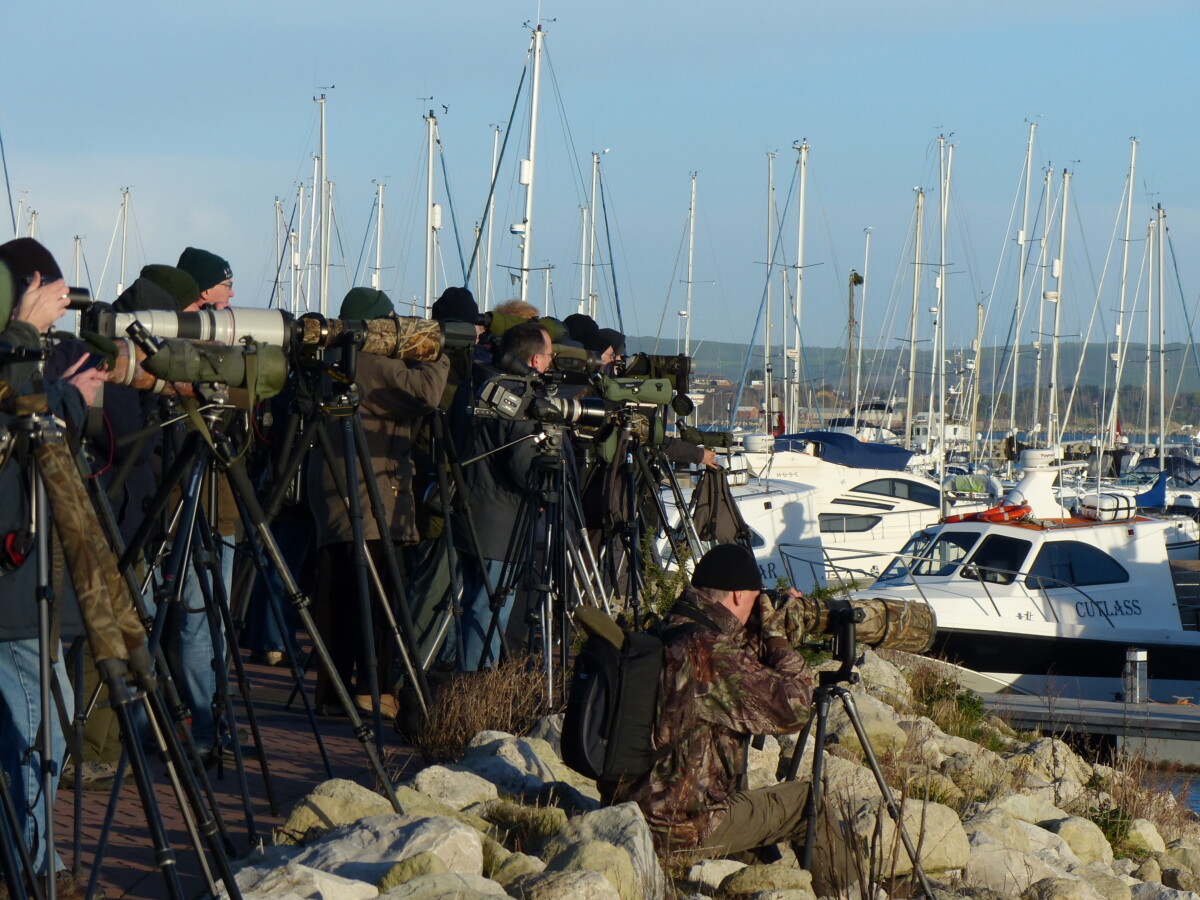 BOURC and Diversity - British Ornithologists' Union