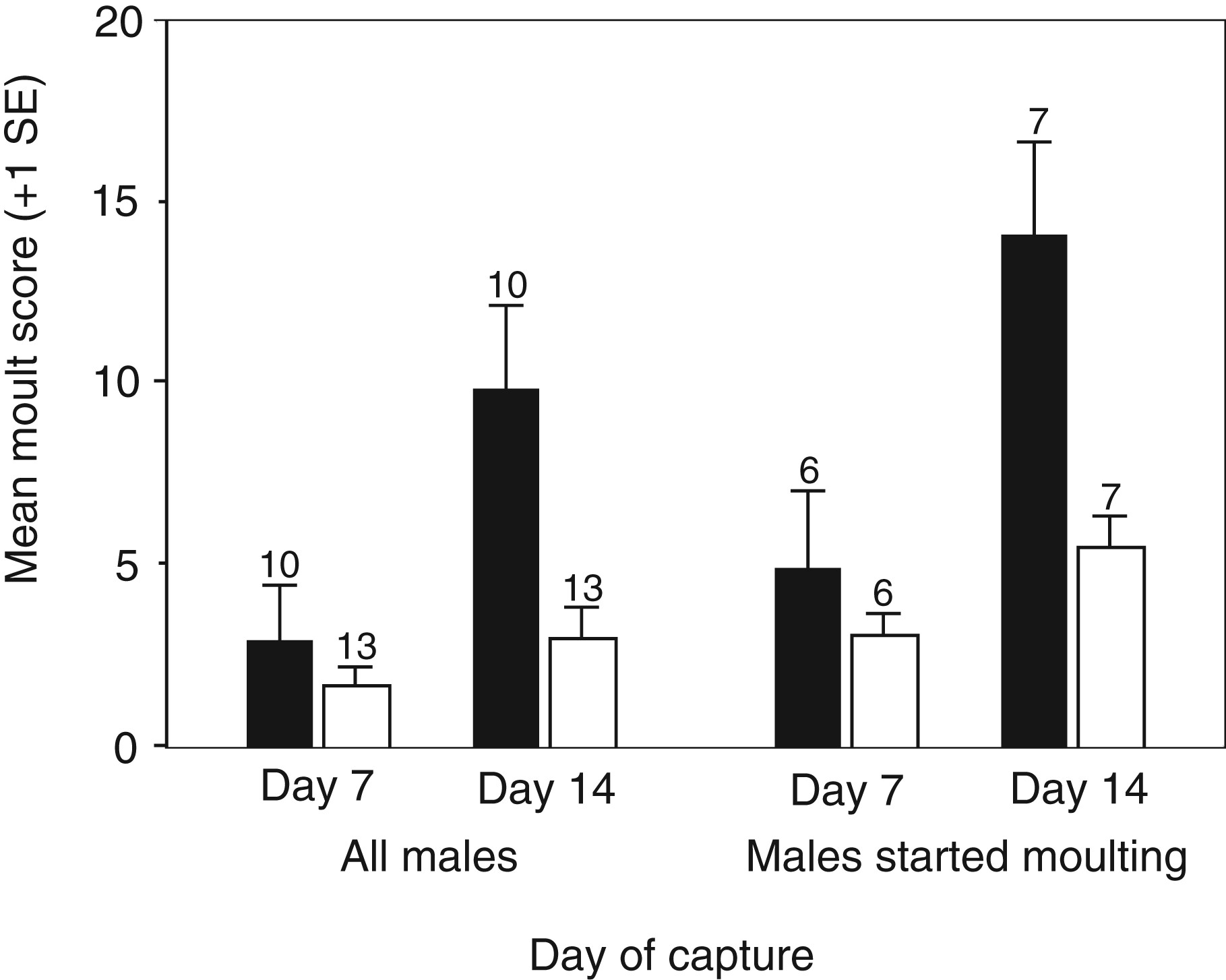To moult or not to moult? - British Ornithologists' Union