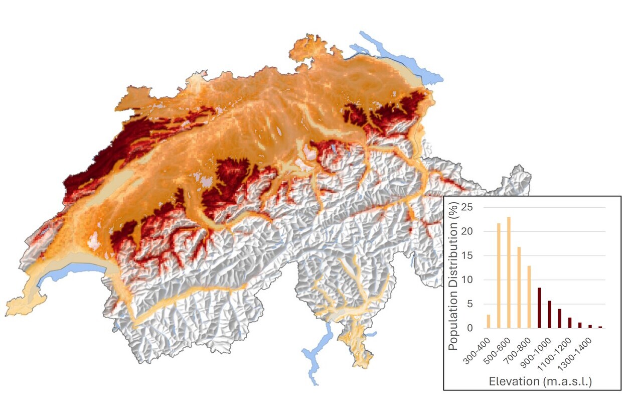 Big advantages at low elevations for resident Red Kites - British ...
